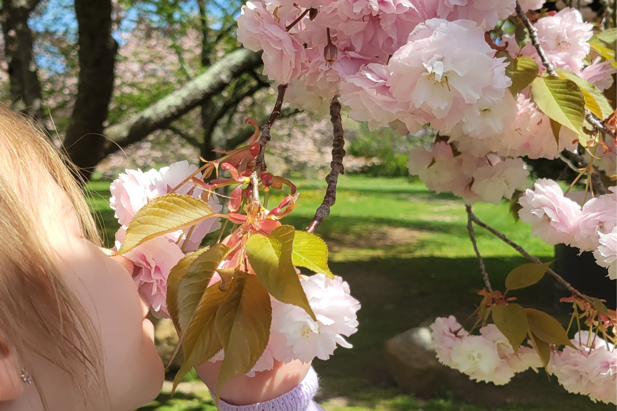 MARCH Outdoor Nature Program – Little Hikers Long Island